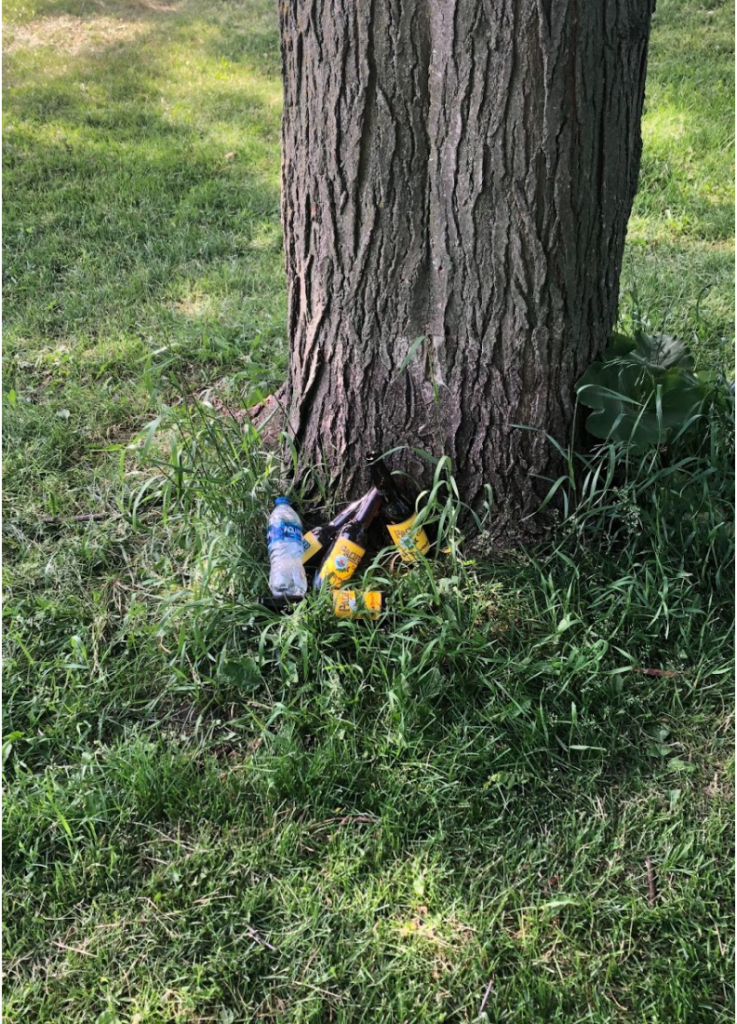 Powderhorn Park – A Field Guide to Public spaces